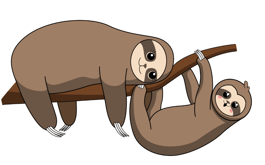 Babyschlaf: Der Schlaftyp Faultier - Stefan Rieth